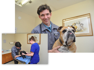 Read Our Reviews | Timberline Animal Hospital, Carson City, NV