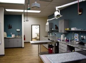 Hospital Tour | Timberline Animal Hospital | Carson City Vet